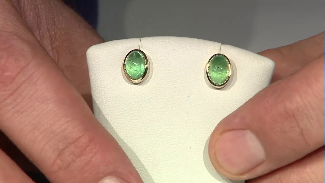 Gouden oorbellen met Colombiaanse smaragden-8760SI | Juwelo sieraden