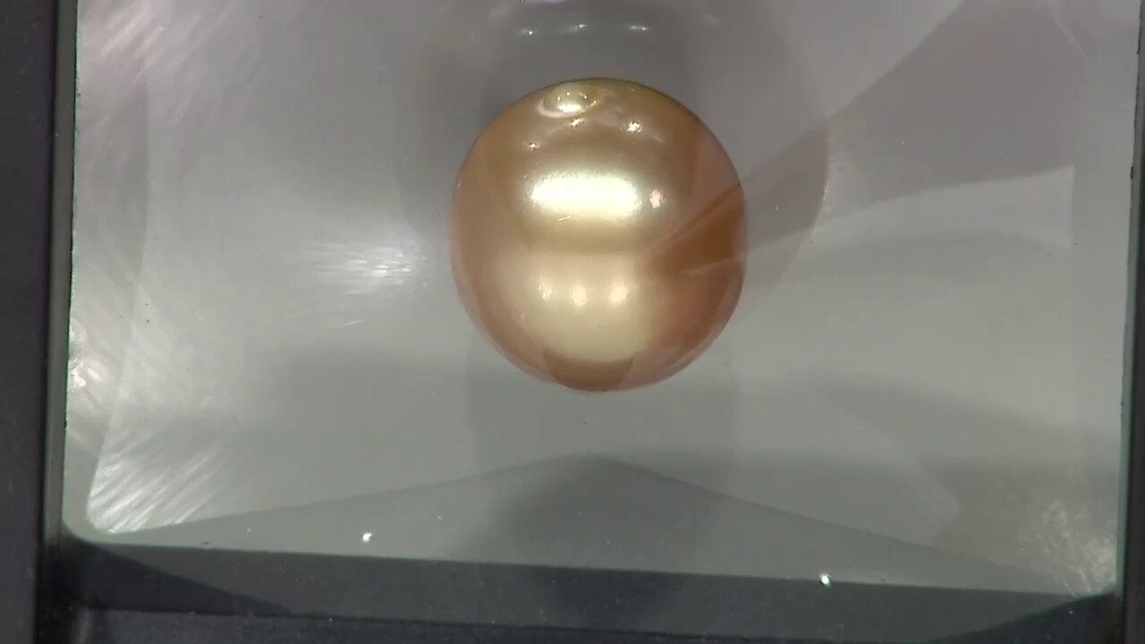 Gemma con Perla Dorata dei Mari del Sud Kabira (TPC)-6266EM | Gioielli ...