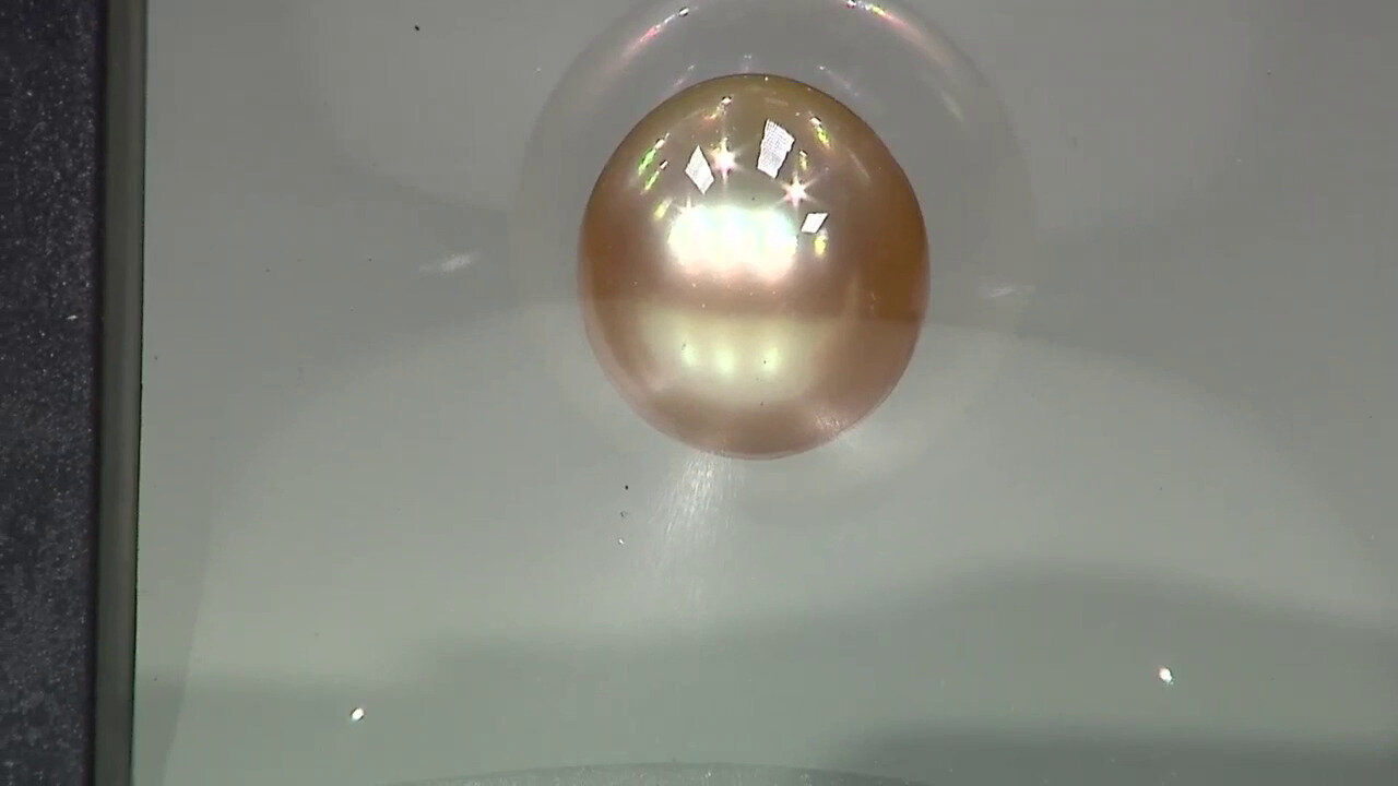 Gemma con Perla Dorata dei Mari del Sud Kabira (TPC)-4570WP | Gioielli ...