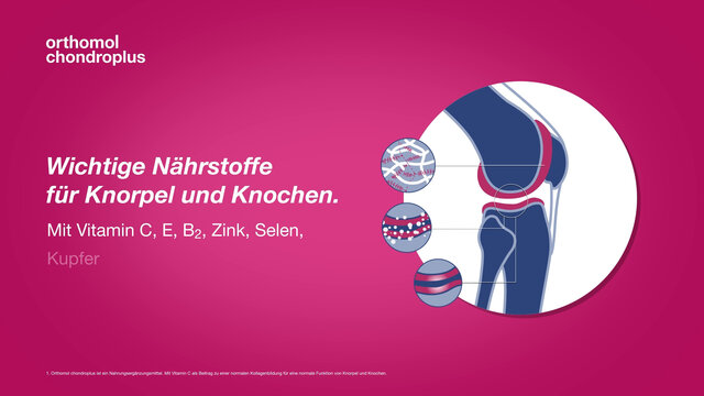 Orthomol chondroplus - Nährstoffe für Knorpel und Knochen - mit ...
