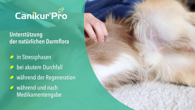 Canikur® Kautabletten für den Hund – Das Diätergänzungsfuttermittel zur ...